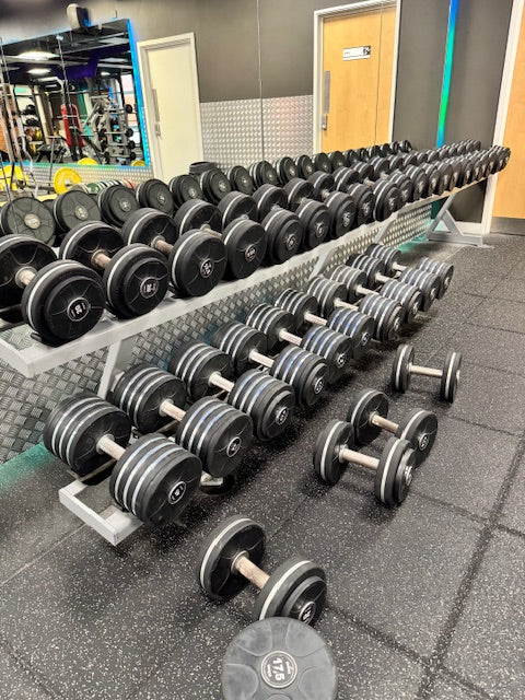 Eleiko Volcano Disc Urethane Dumbbell Set (Including Rack) – EFS NI ltd